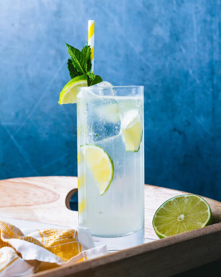 17 Tasty Mojito Recipes – A Couple Cooks