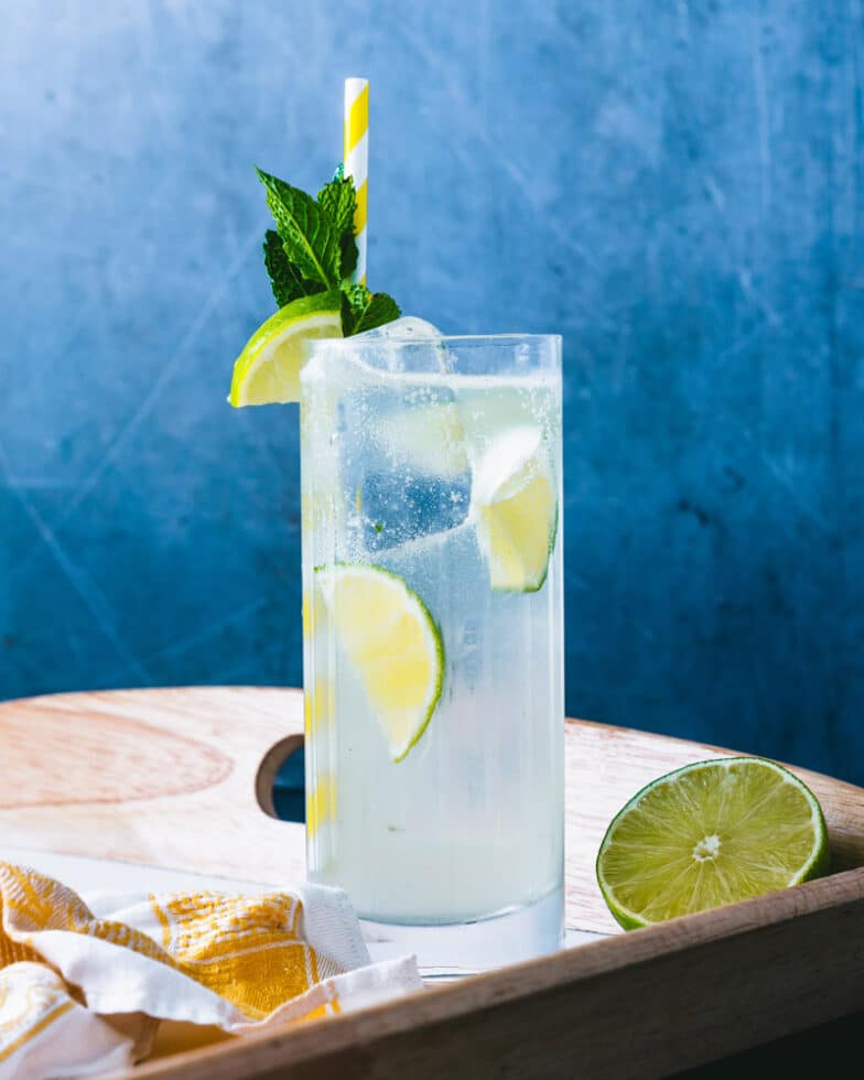 17 Tasty Mojito Recipes – A Couple Cooks