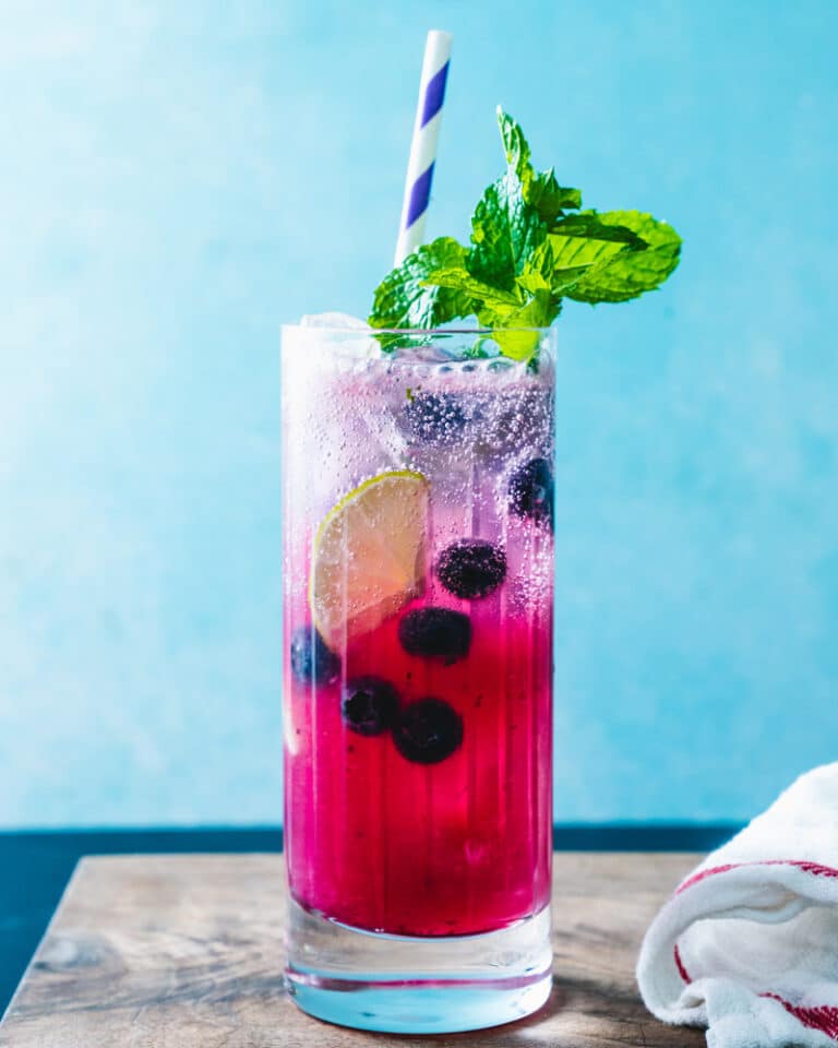 17 Tasty Mojito Recipes – A Couple Cooks
