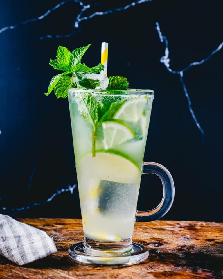 17 Tasty Mojito Recipes – A Couple Cooks