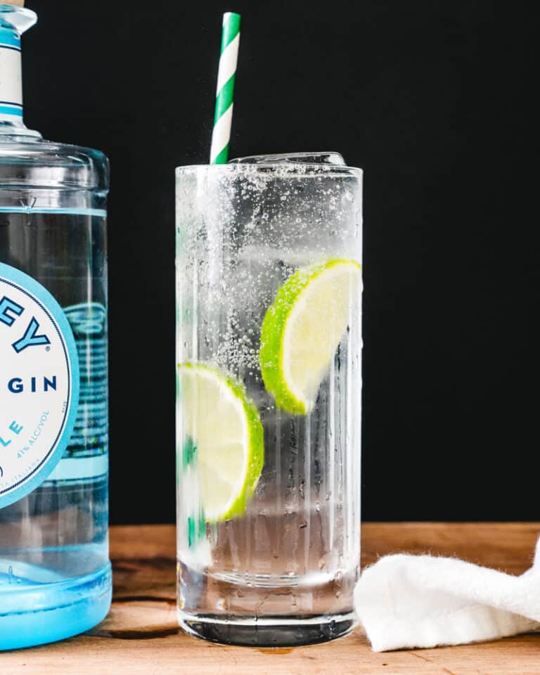 10 Simple Gin Cocktails – A Couple Cooks