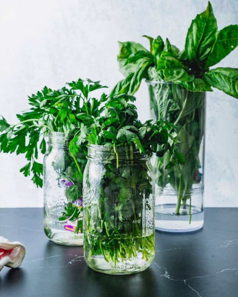 How to Store Fresh Herbs – A Couple Cooks