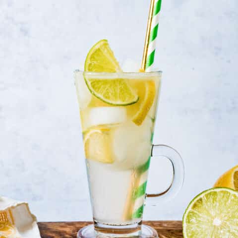 Lemon Soda – A Couple Cooks