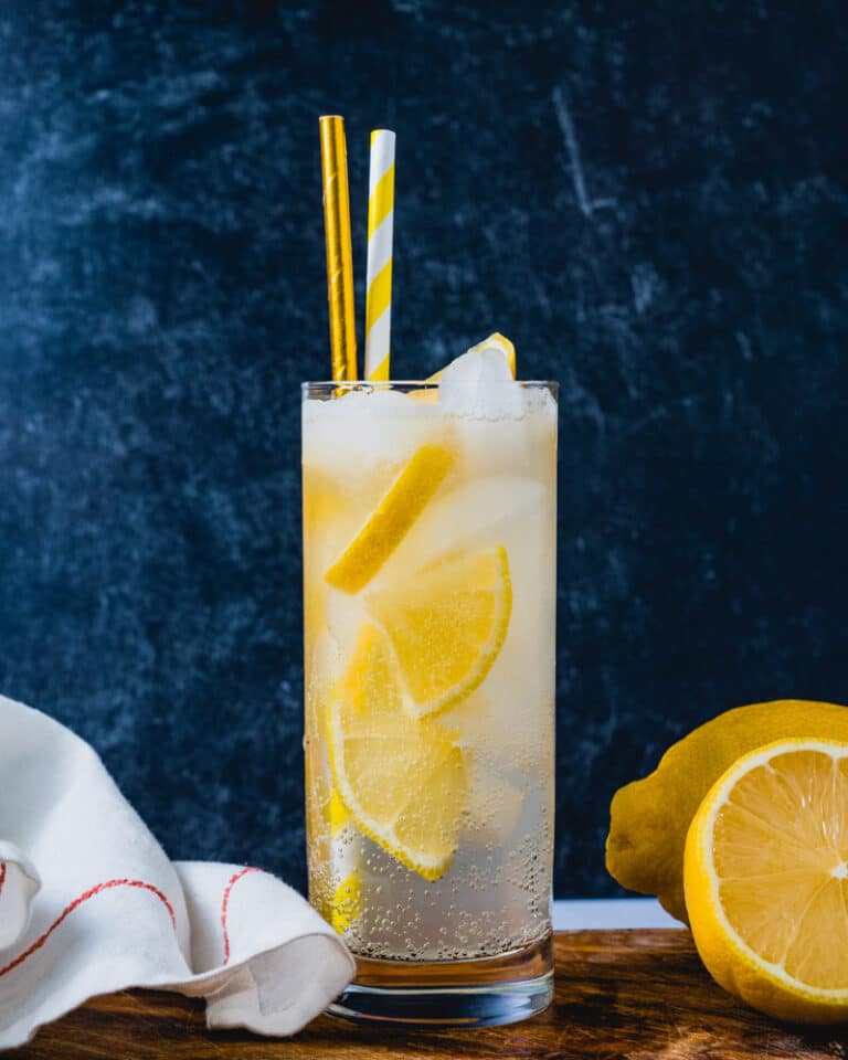 25 Zesty Lemon Recipes – A Couple Cooks