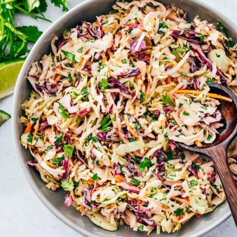 Simple Red Cabbage Slaw – A Couple Cooks