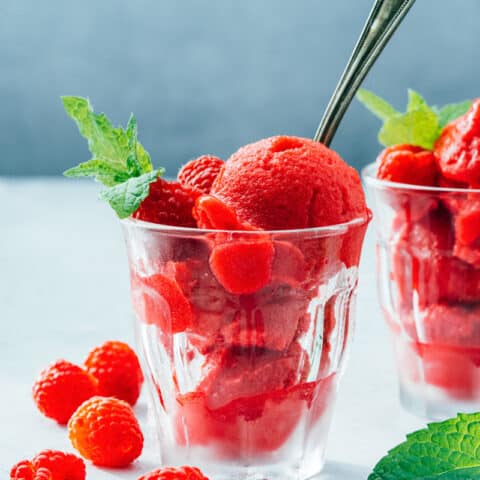 Raspberry Sherbet – A Couple Cooks