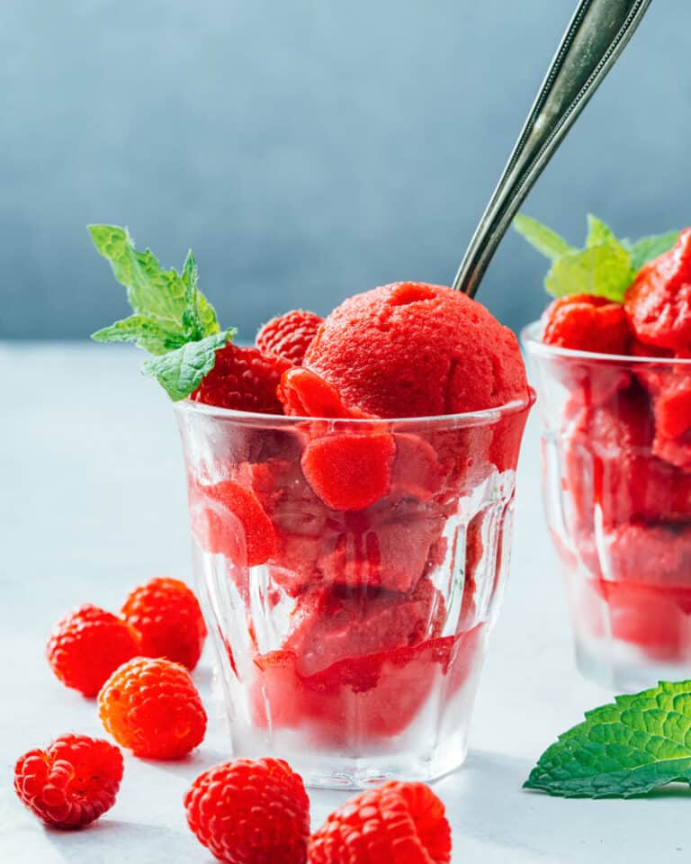 8 Great Sorbet Recipes – A Couple Cooks
