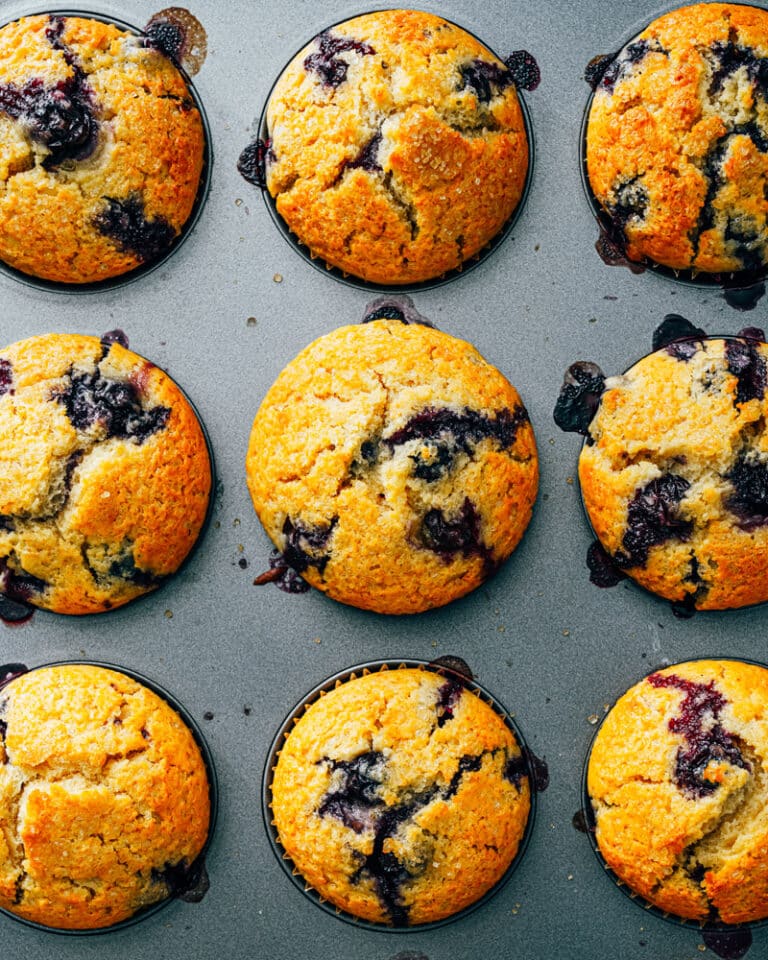 30 Fresh Blueberry Recipes – A Couple Cooks