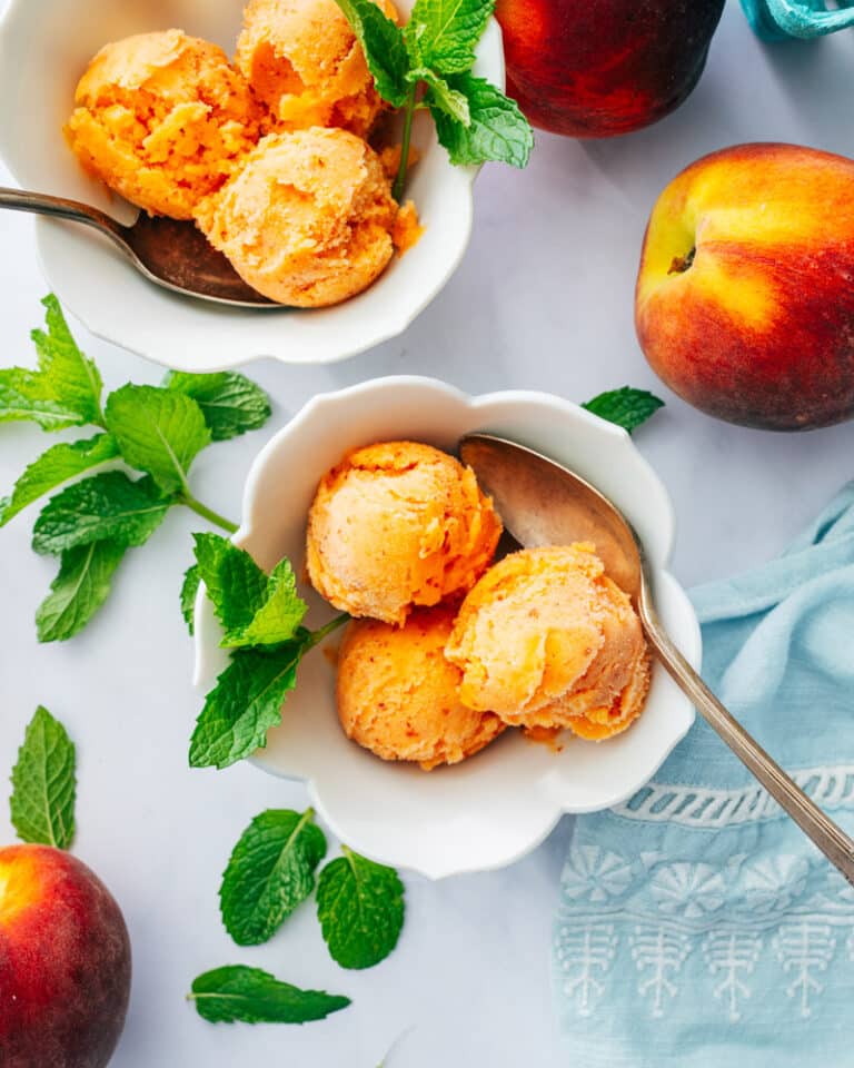 8 Great Sorbet Recipes – A Couple Cooks