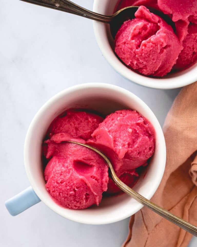 Raspberry Sherbet – A Couple Cooks