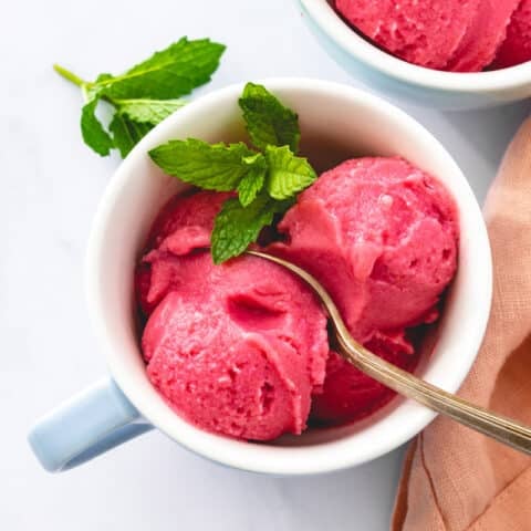 Raspberry Sherbet – A Couple Cooks