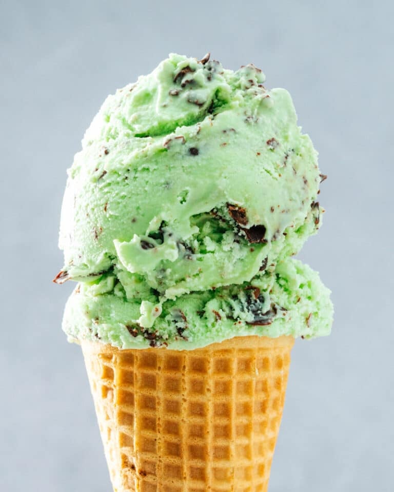 Mint Chocolate Chip Ice Cream – A Couple Cooks