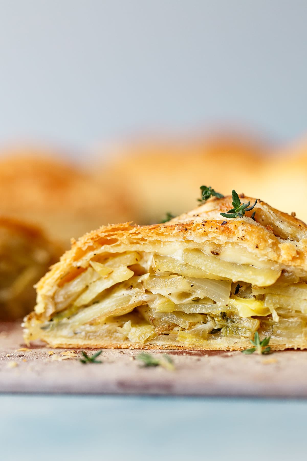 20 Tasty Leek Recipes – A Couple Cooks