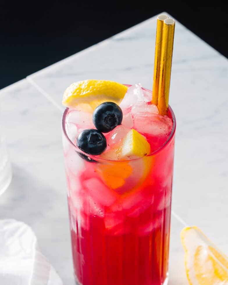 Blueberry Vodka Lemonade – A Couple Cooks