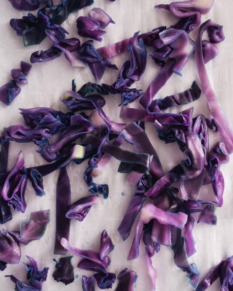 Can You Freeze Cabbage? – A Couple Cooks