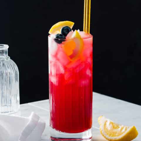 Blueberry Vodka Smash – A Couple Cooks