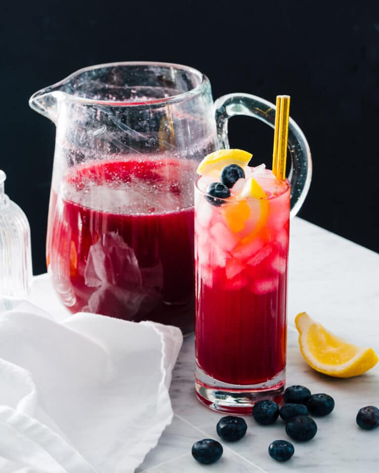 Blueberry Vodka Lemonade – A Couple Cooks