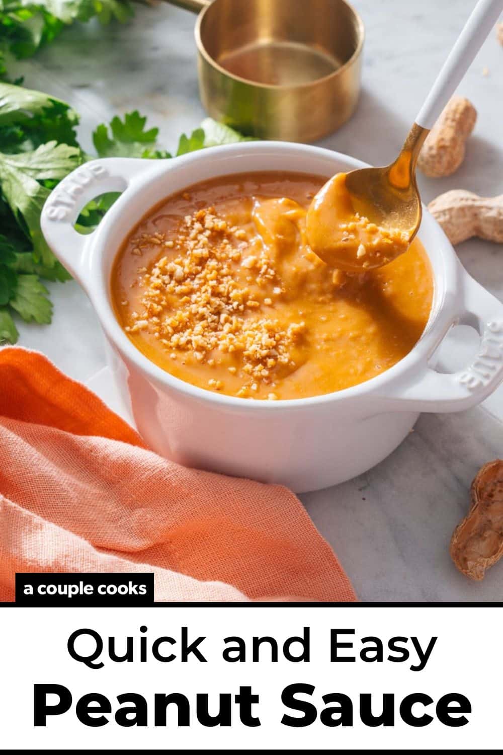 Peanut Sauce Recipe – A Couple Cooks