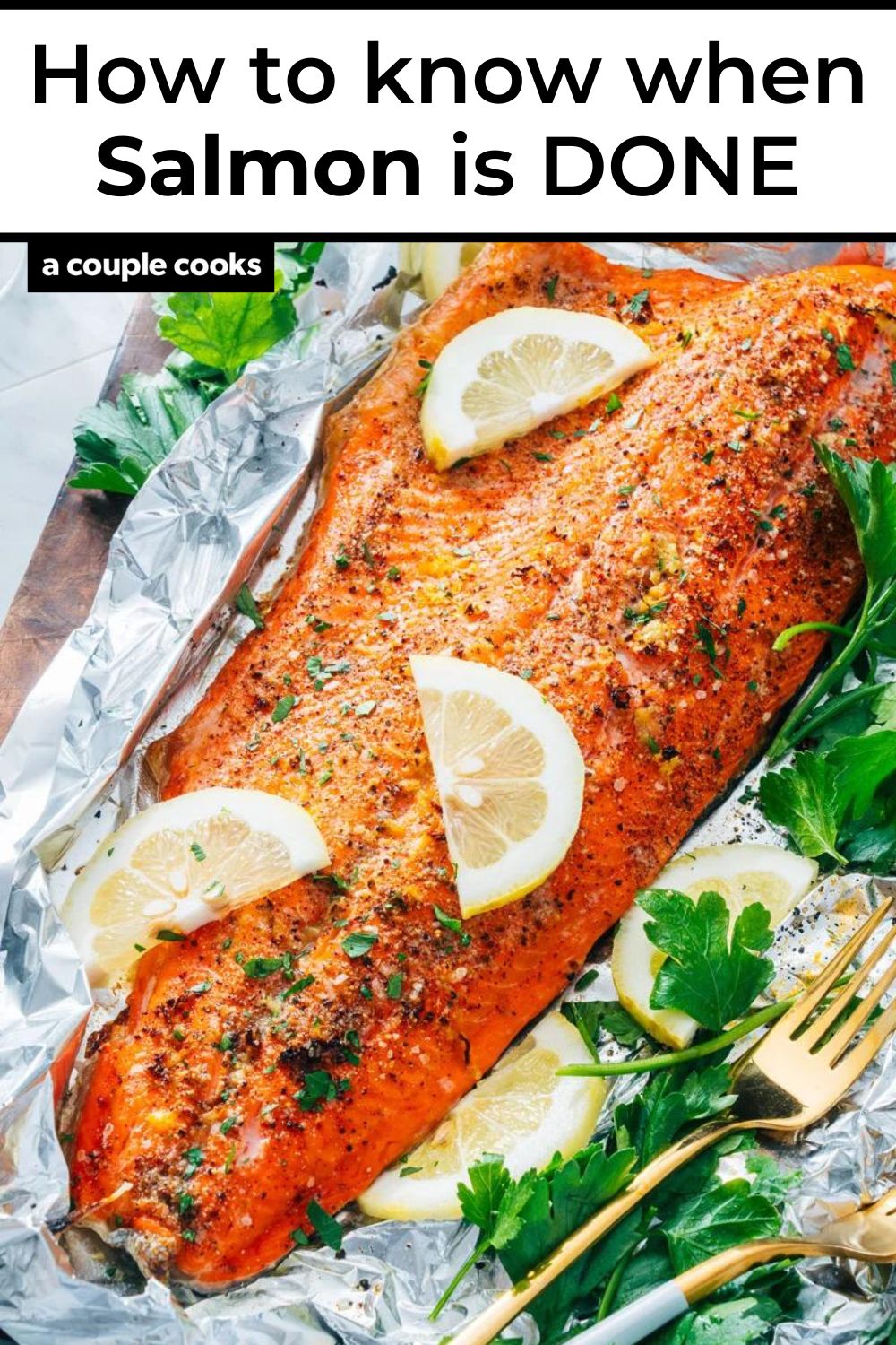 How to Know When Salmon is Done – A Couple Cooks