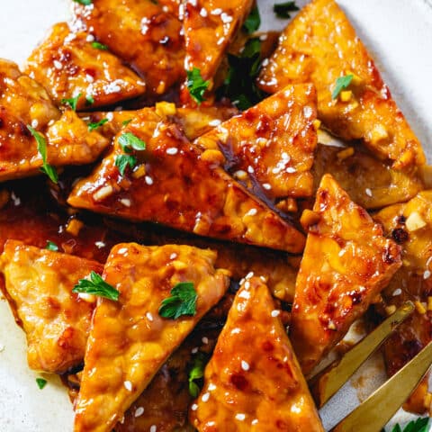 20 Tasty Tempeh Recipes – A Couple Cooks