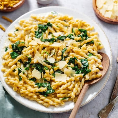 Creamy Gemelli Pasta – A Couple Cooks