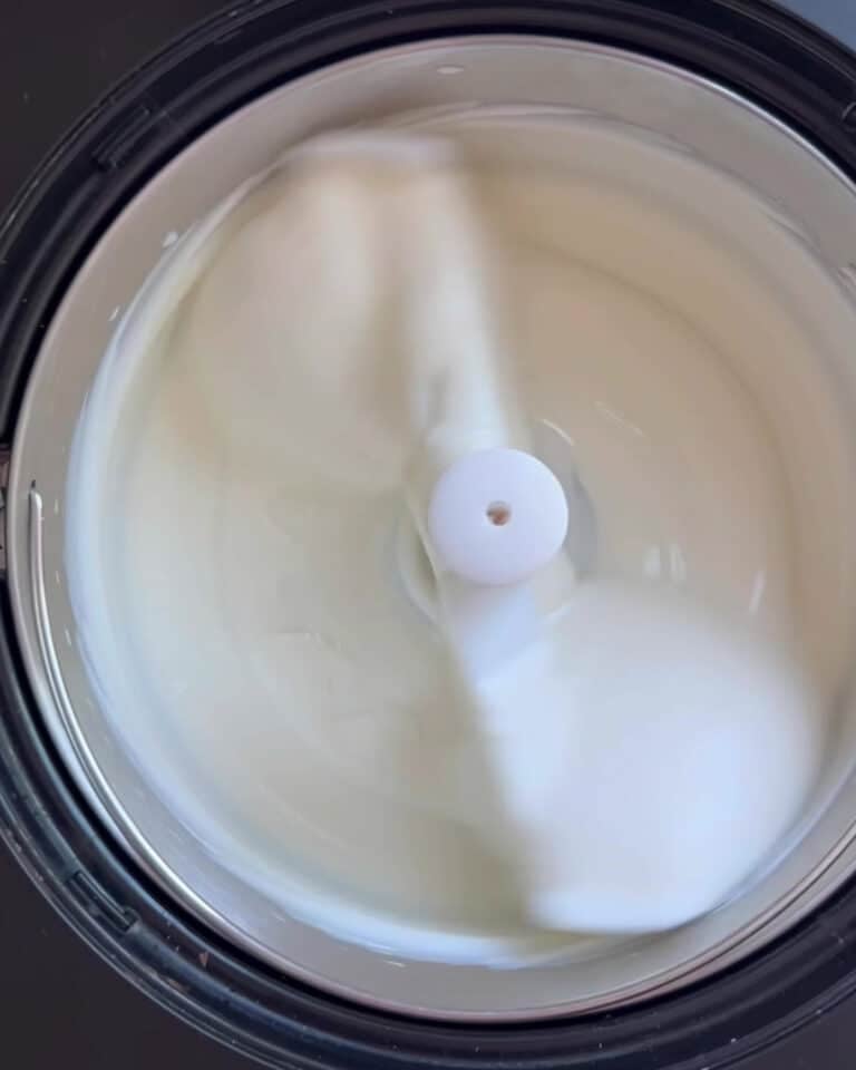 Homemade Frozen Yogurt