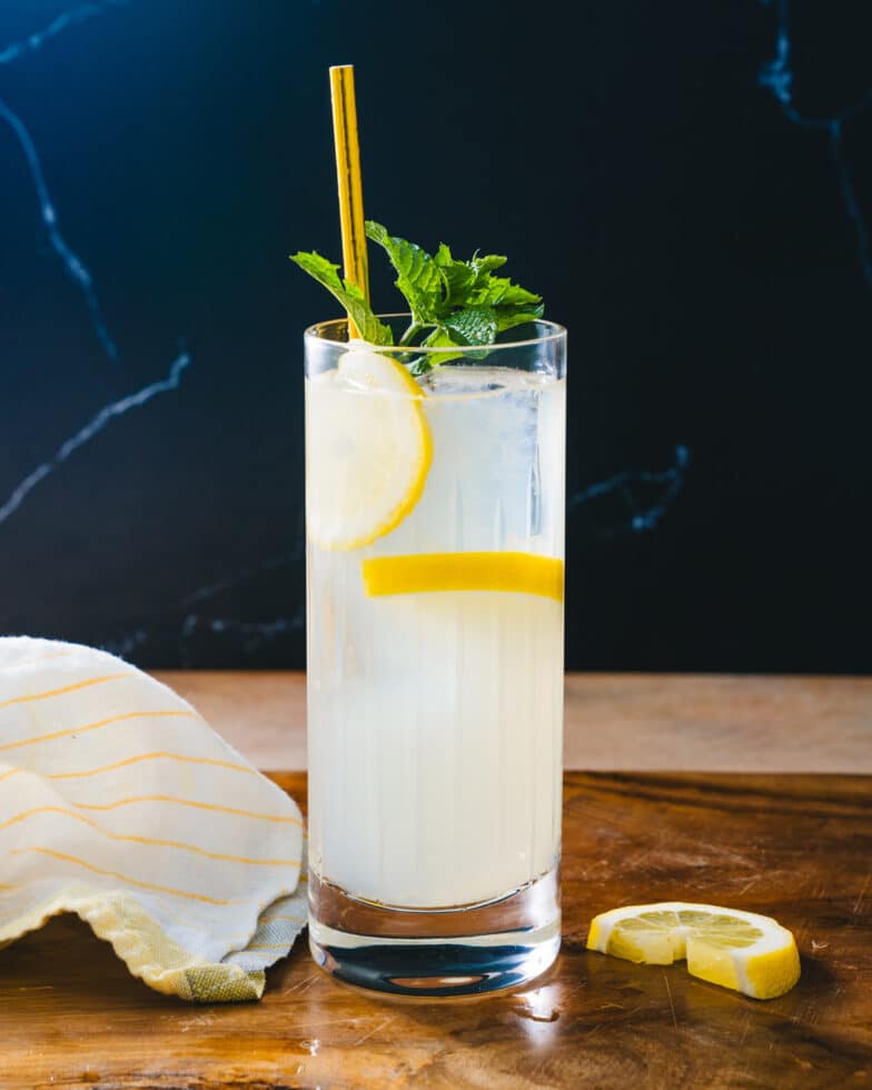 10 Simple Gin Cocktails – A Couple Cooks