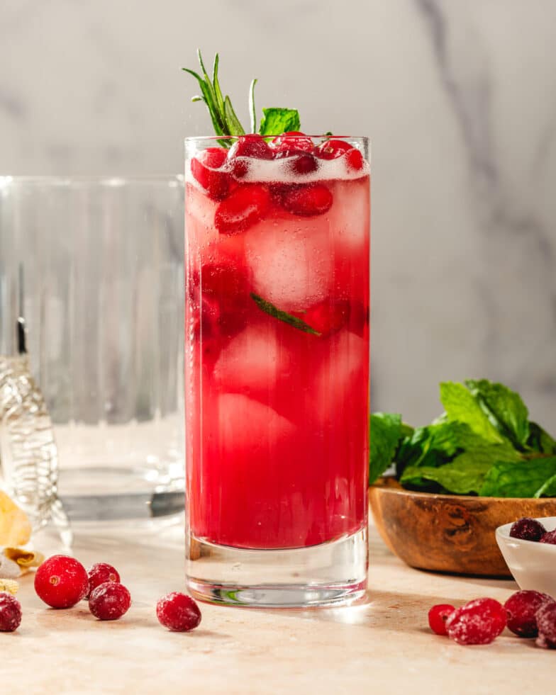 Cranberry Mocktail – A Couple Cooks