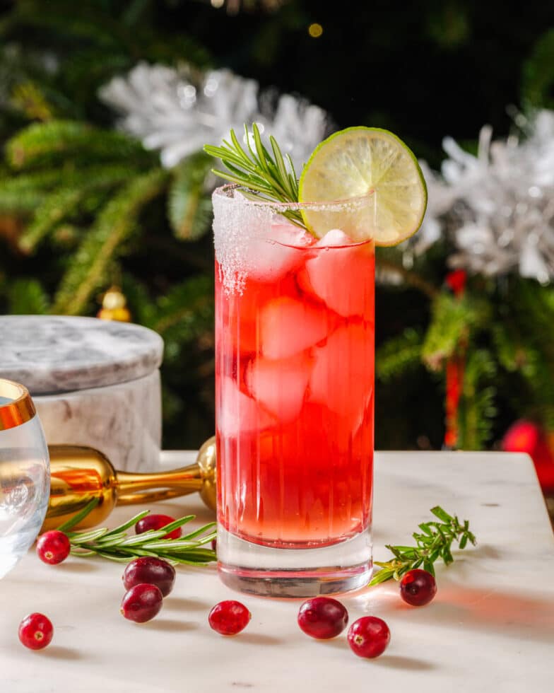 Christmas Tequila Cocktail (Perfect for Parties) – A Couple Cooks
